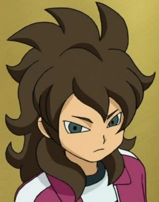 Fudou Akio | Inazuma Eleven Wiki Tiếng Việt | Fandom