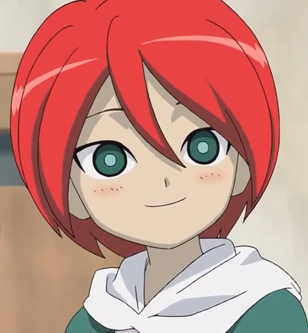 Xavier Foster/Galerie | Wiki Inazuma Eleven | Fandom