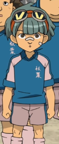 Theodore Master | Inazuma Eleven Wiki | Fandom