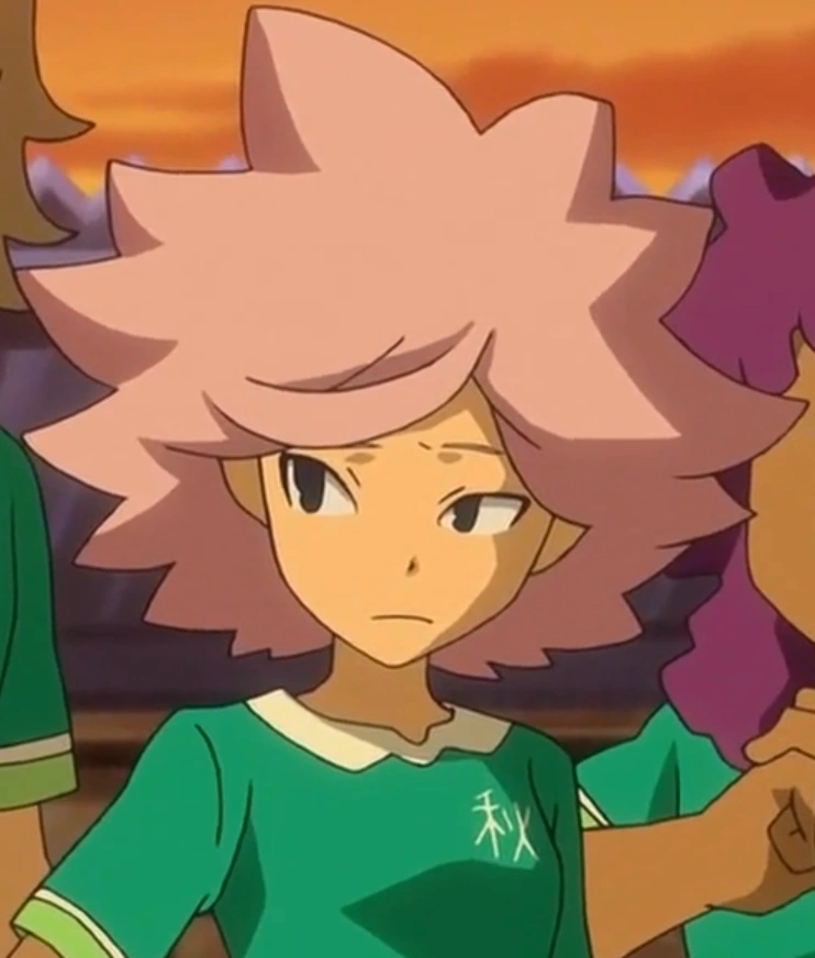 Autumn Leaf | Wiki Inazuma Eleven | Fandom