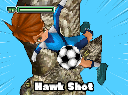 Hawk Shot | Nederlandse Inazuma Eleven wiki | Fandom