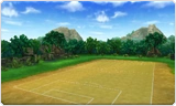 Forest Stadium | Inazuma Eleven Wiki | Fandom