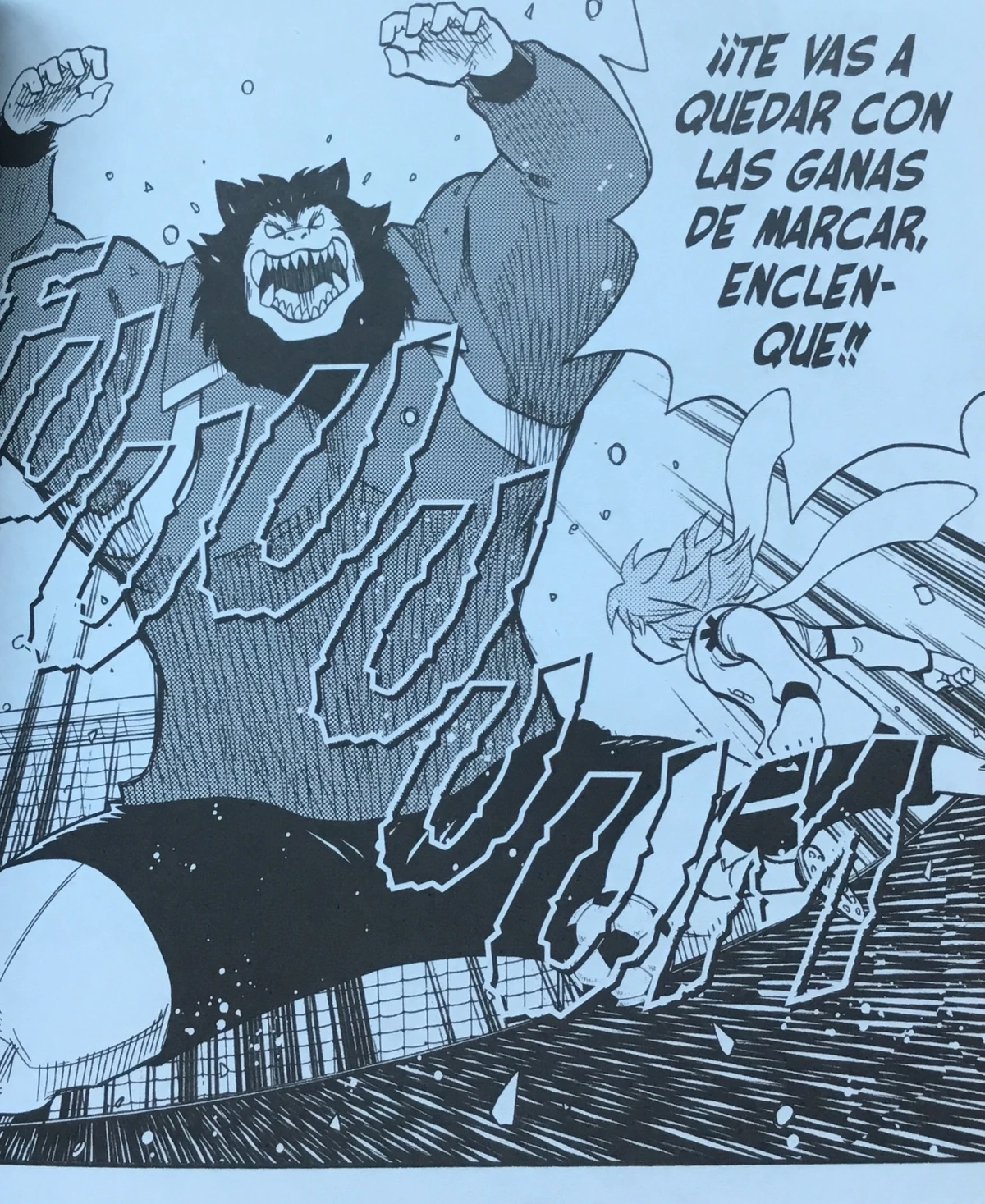 Bearfield | Inazuma Eleven Wiki | Fandom