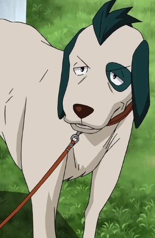 Spotter | Inazuma Eleven Italia Wiki | Fandom