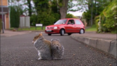 Showdown in Will's neighbourhood | The Inbetweeners Wiki | Fandom