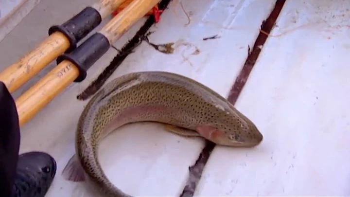 Category:Characters killed by Neil Sutherland | The Inbetweeners Wiki ...