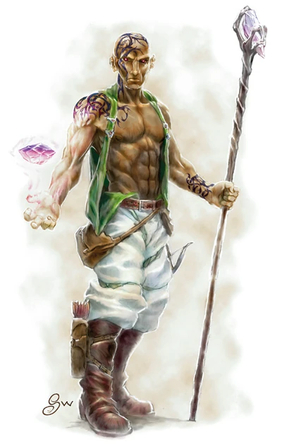 Psion | Dungeons and Dragons Wiki | Fandom