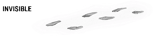 Invisibile | Dungeons and Dragons Wiki | Fandom