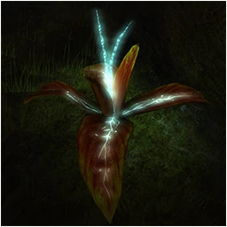 Se'Vahk Flora | Incantre Wiki | Fandom