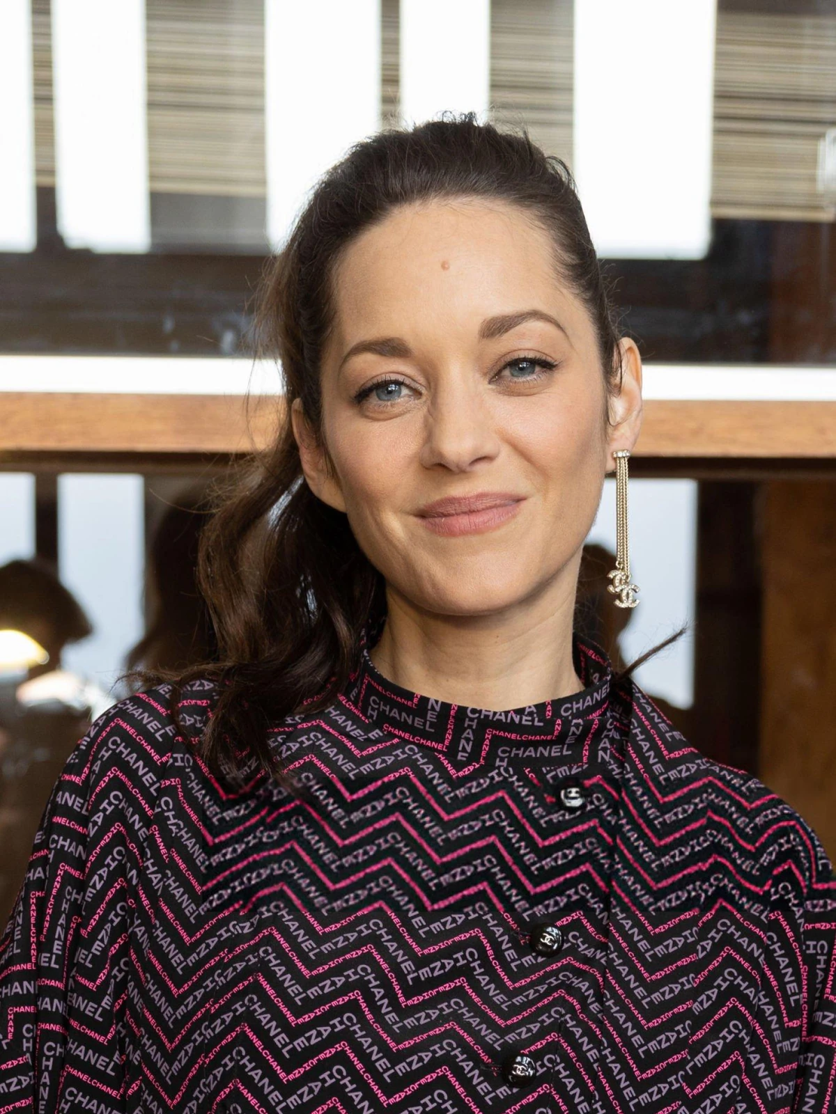 Marion Cotillard | Inception Wiki | Fandom