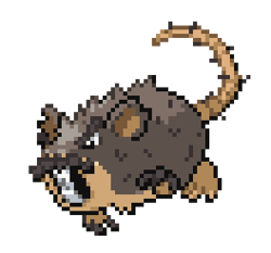 Raticate | Inclement Garnet Wiki | Fandom