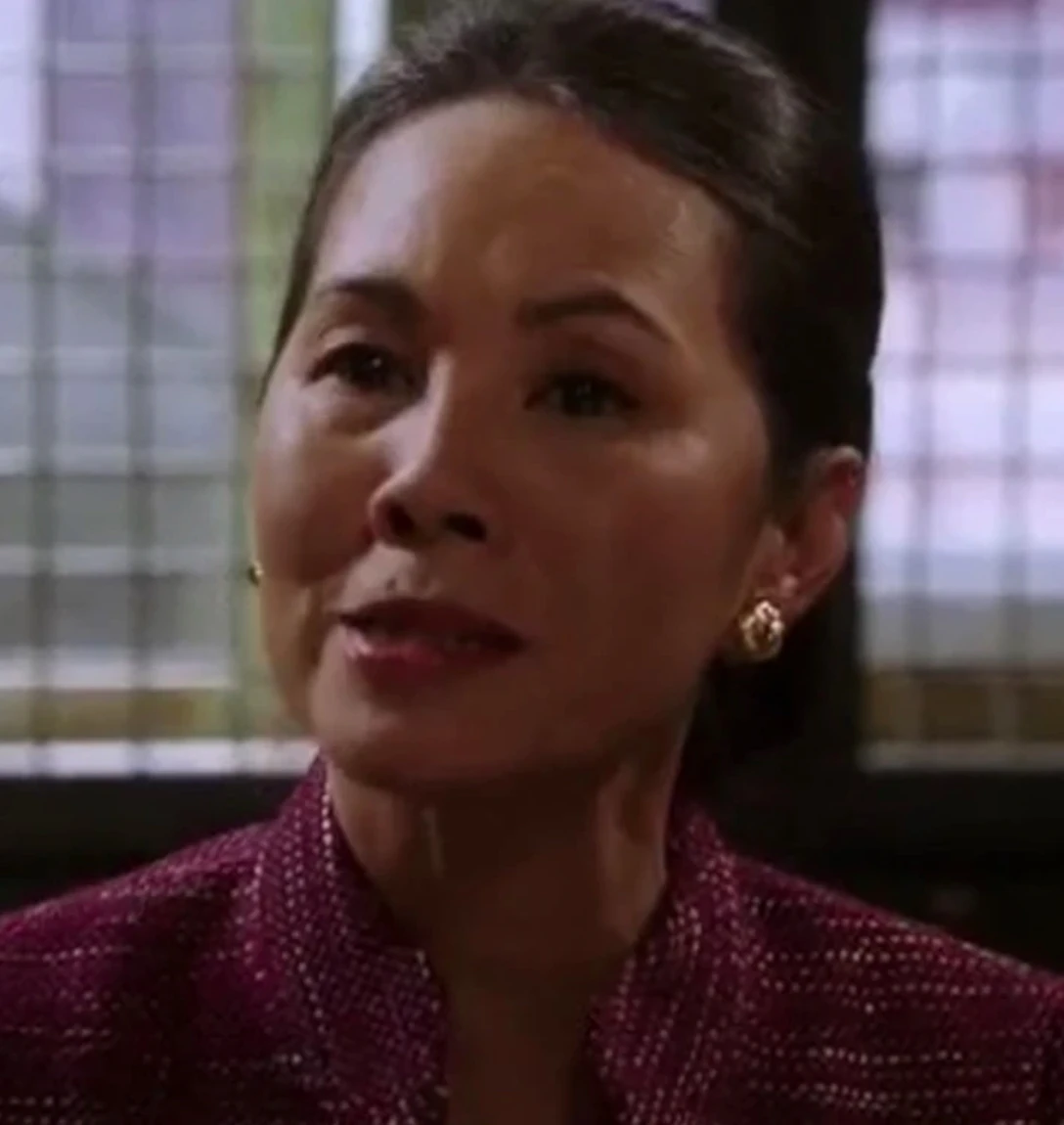Christine Chang | Inconsistently Heinous Wiki | Fandom