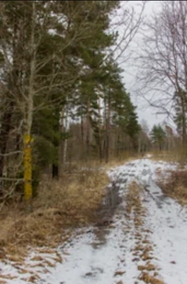 Characters (Veritas and 770) | Incredible770 archive Wiki | Fandom