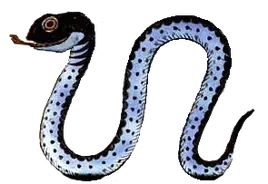 Apep (mythology) | Incredibly Cruel Wiki | Fandom