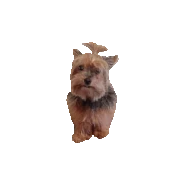 Temu Funbot (NEW) | Incredibox Sprunki Pyramixed Fanon Wiki | Fandom