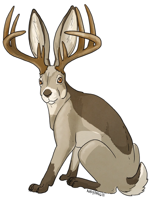 Winged Jackalope