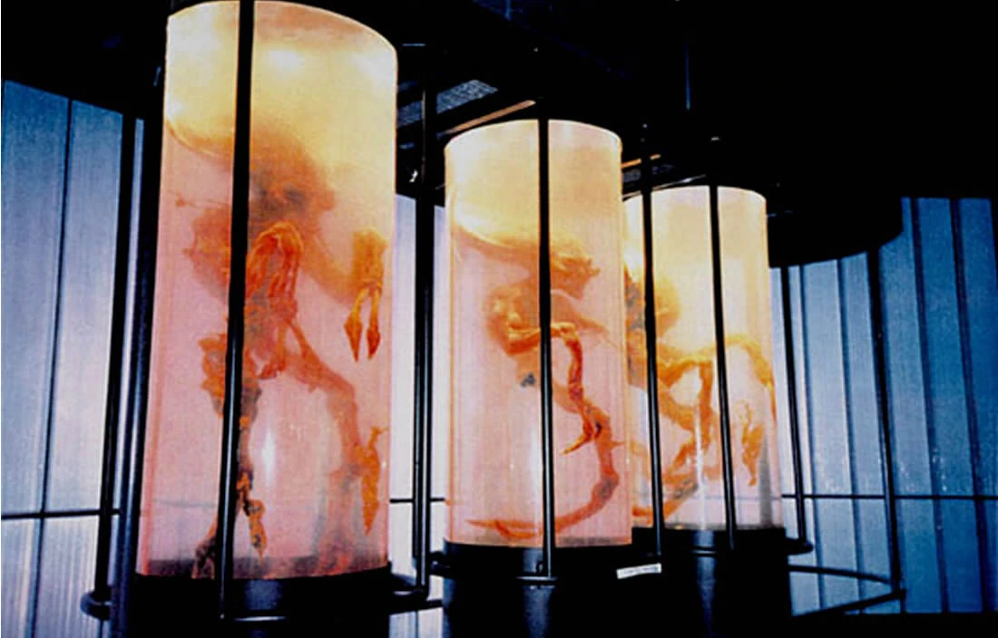 Roswell Harvesters | Independence Day Wiki | Fandom