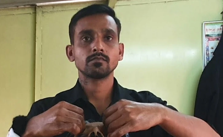 Sloth Barber | Indian ASMR Barbers Wiki | Fandom