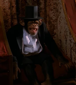 Chimpanzee | Indiana Jones Wiki | Fandom