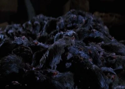 Rat | Indiana Jones Wiki | Fandom