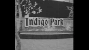 Indigo Park | Indigo Park Wiki | Fandom