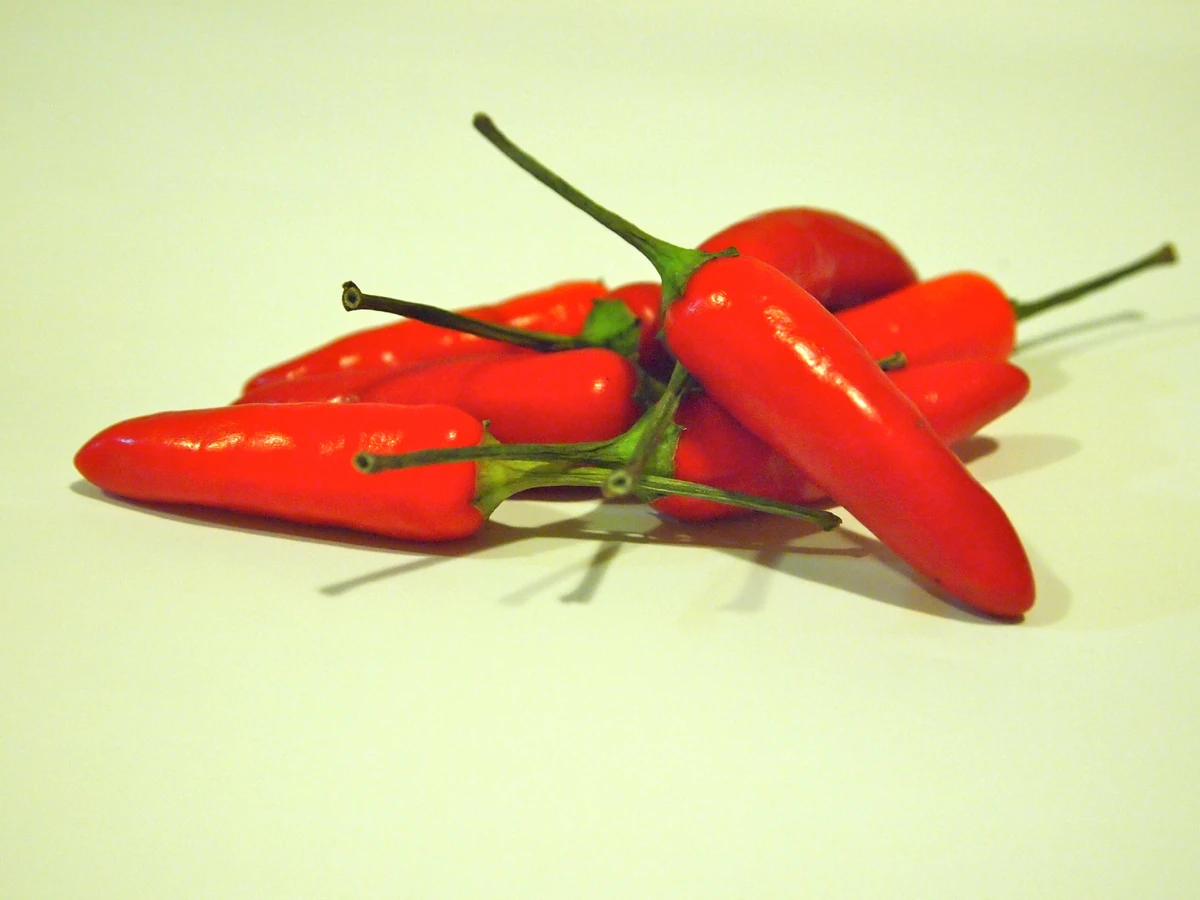 Cabe | Indofoodia Wiki | Fandom