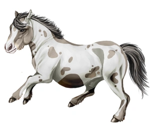 Manchado Horse