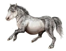 Sooty | Indomita Sim Wiki | Fandom