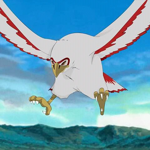 Garuda | Indra aditya Wikia | Fandom