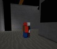 Road Smiling NPCs | Infectious Smile Wiki | Fandom