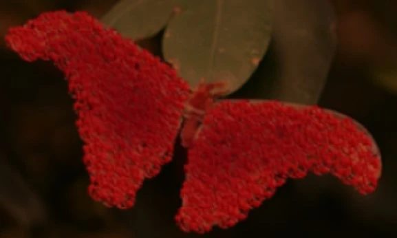 Entity 6 | Infinispaces Wiki | Fandom