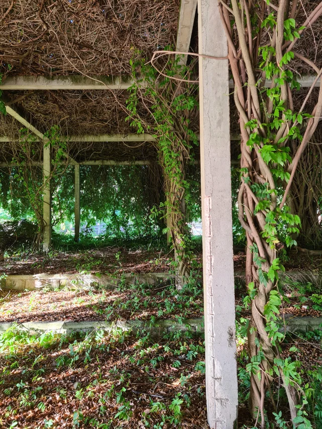 Level 91 | Infinispaces Wiki | Fandom