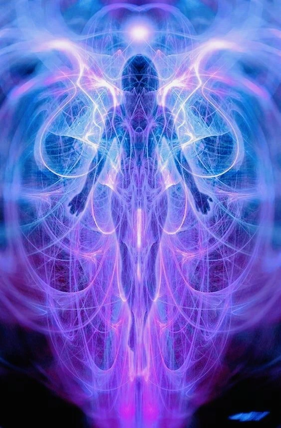 Soul | Infinite Mana in the Apocalypse Wiki | Fandom