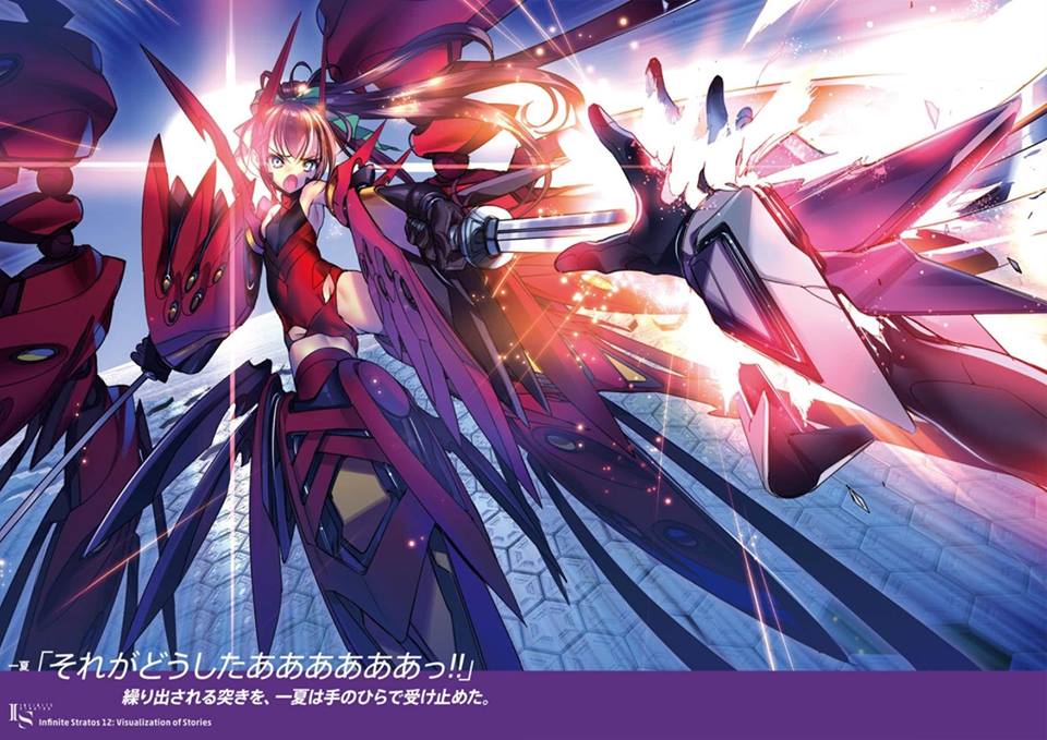 Infinite Stratos Akatsubaki