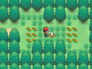 Secret Garden | Pokémon Infinite Fusion Wiki | Fandom