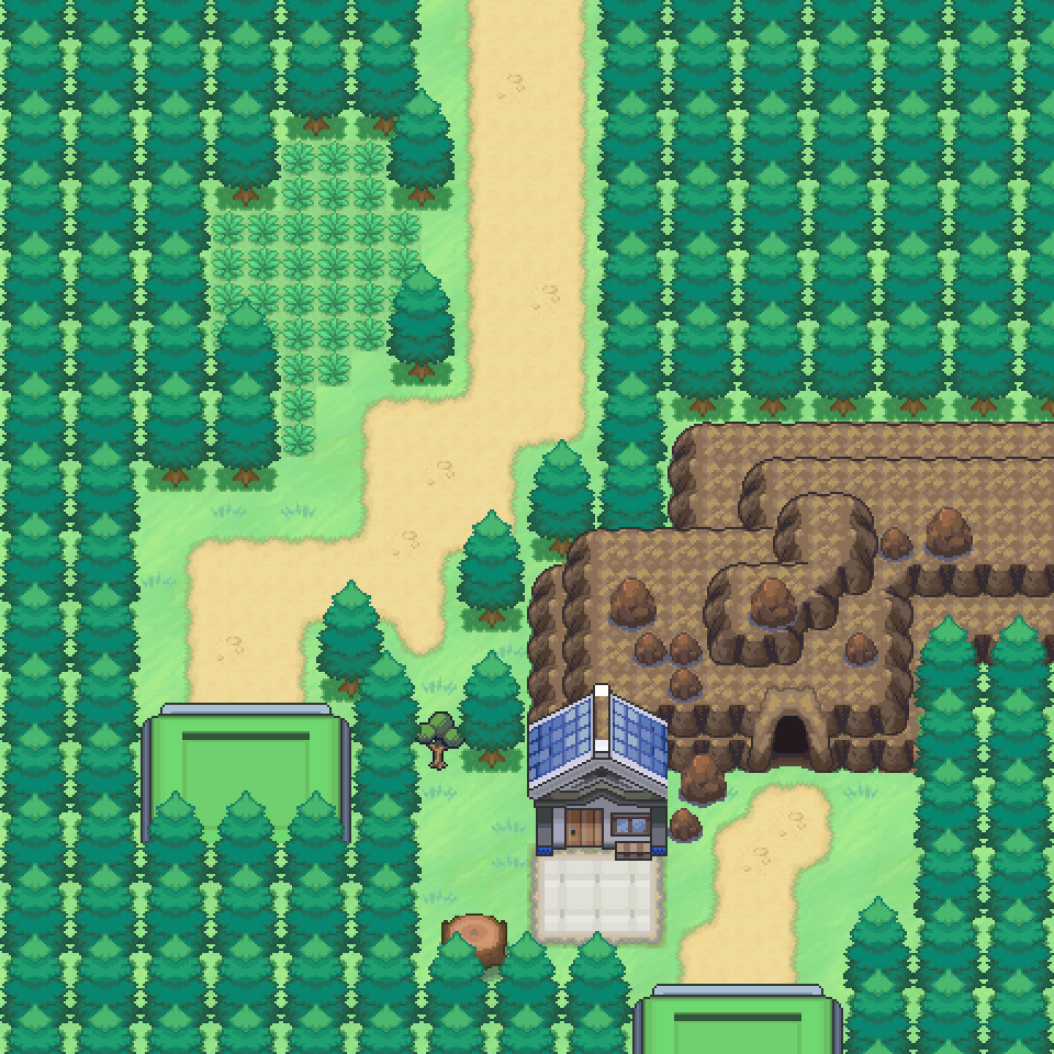 Route 2 (After the Forest) | Pokémon Infinite Fusion Wiki | Fandom