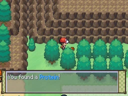 Route 25 | Pokémon Infinite Fusion Wiki | Fandom