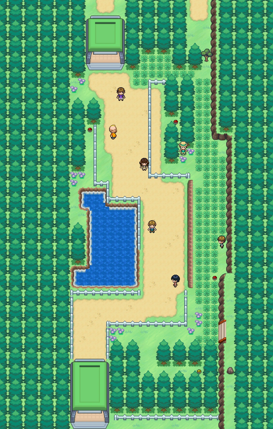 Route 35 | Pokémon Infinite Fusion Wiki | Fandom