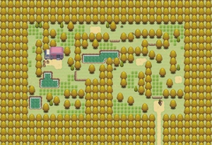 Berry Forest | Pokémon Infinite Fusion Wiki | Fandom