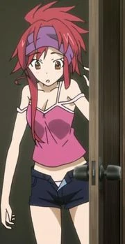 Ran Gotanda | Infinite Stratos Wiki | Fandom