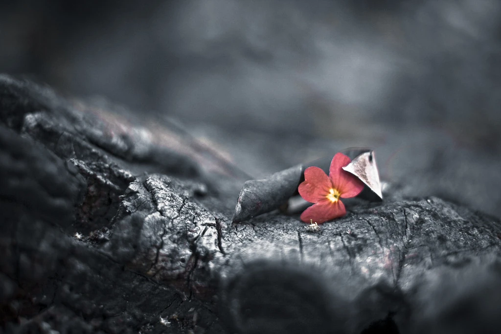 Survivor Class (WE) | Infinity Archive Wiki | Fandom