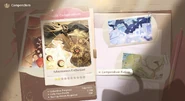 Compendium | Infinity Nikki Wiki | Fandom