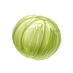 Sack Fruit | Infinity Nikki Wiki | Fandom