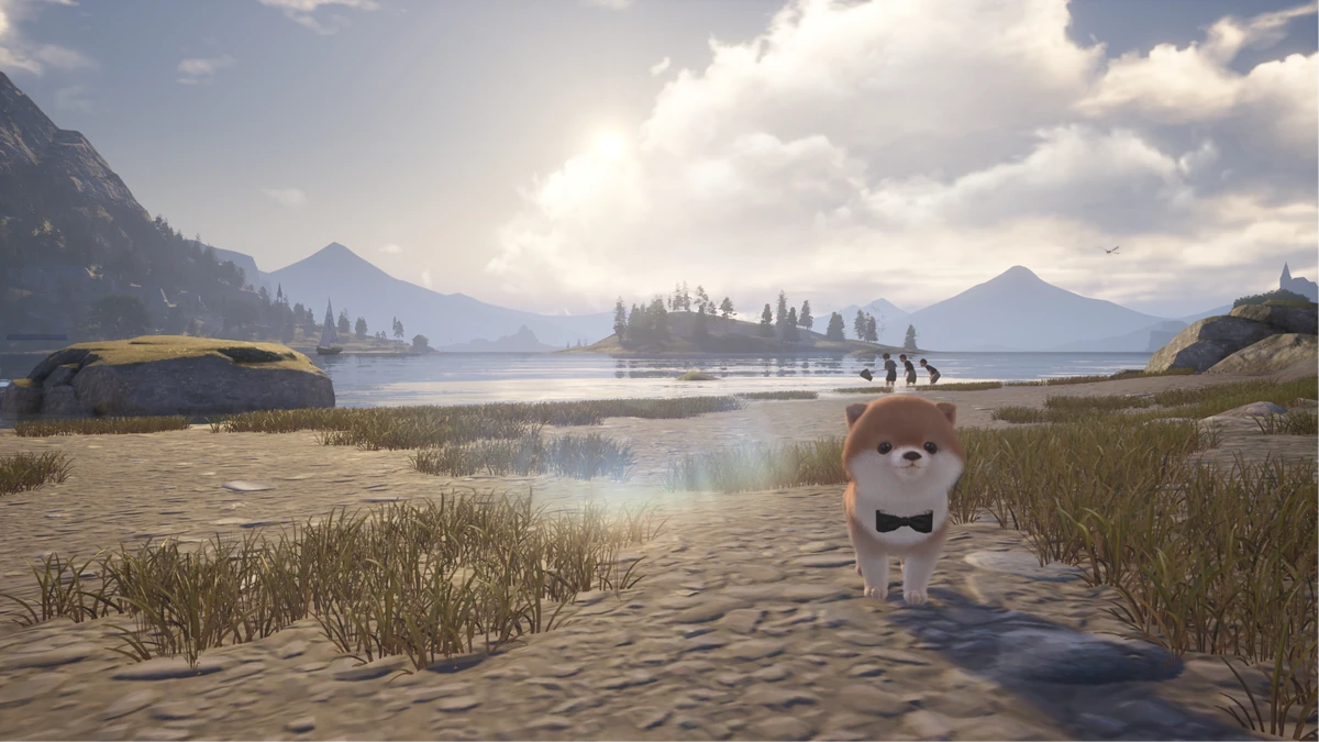 The Missing Floof | Infinity Nikki Wiki | Fandom