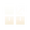 Coccyx Fossil | Infinity Nikki Wiki | Fandom