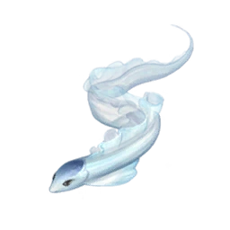 Ribbon Eel | Infinity Nikki Wiki | Fandom