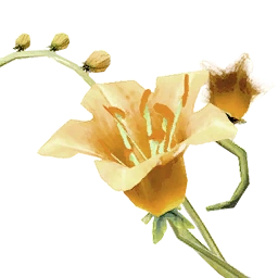 Sizzbloom | Infinity Nikki Wiki | Fandom