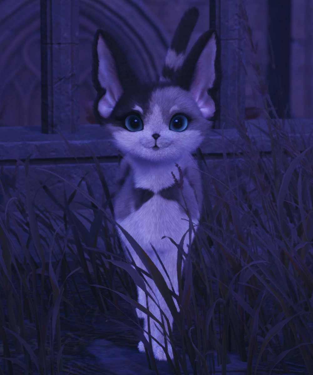 Peculiar Cat | Infinity Nikki Wiki | Fandom