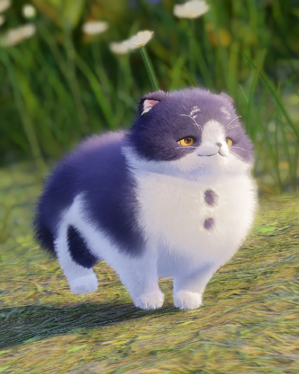 Shirtcat | Infinity Nikki Wiki | Fandom