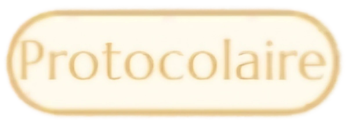 Protocolaire | Wiki Infinity Nikki | Fandom